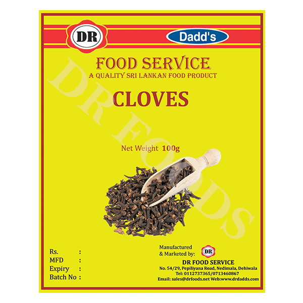 DR FOOD SERVICES